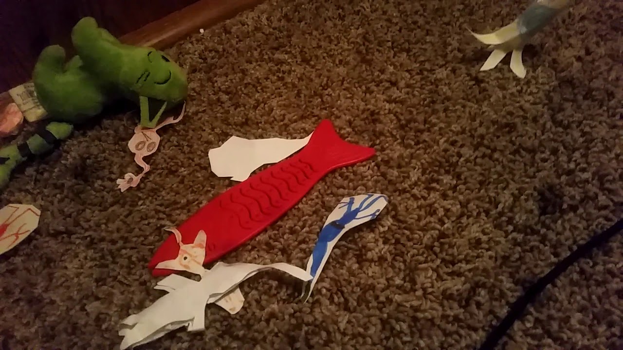 Pikmin scene 2 episode 2 - YouTube