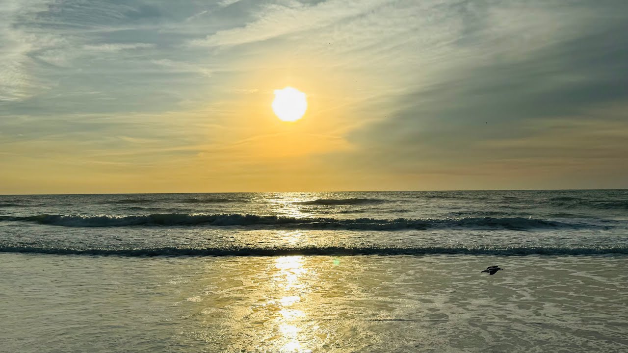 Relaxing Ocean ambiance with Sunset view #oceansounds - YouTube