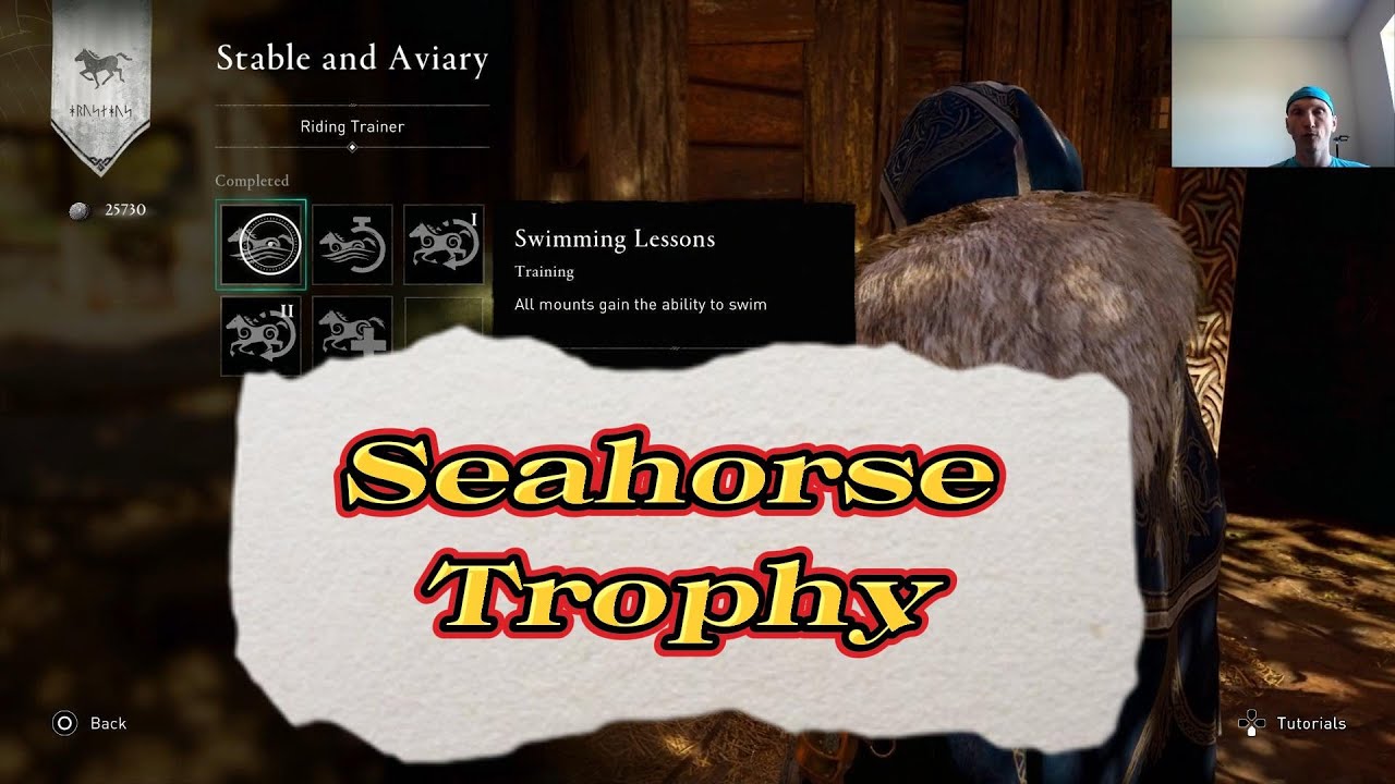Assassin's Creed Valhalla - Seahorse Trophy #assassinscreed # ...