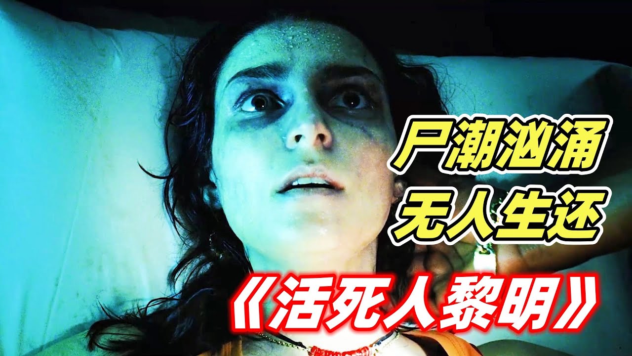 【小雅】丧尸病毒席卷全球,所有人难逃一死,扎导成名之作《活死人黎明》【电影迷小雅 】 Youtube