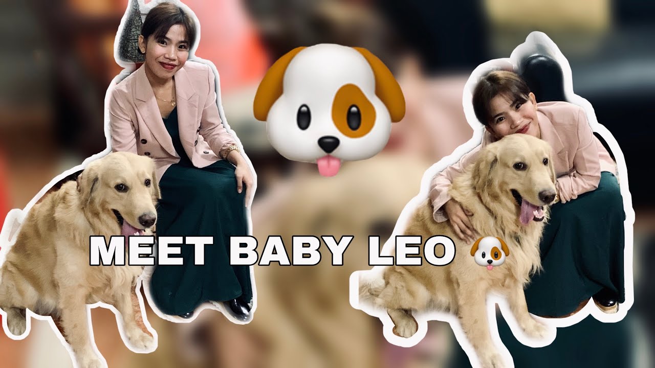 MEET OUR BABY LEO 🐶 - YouTube