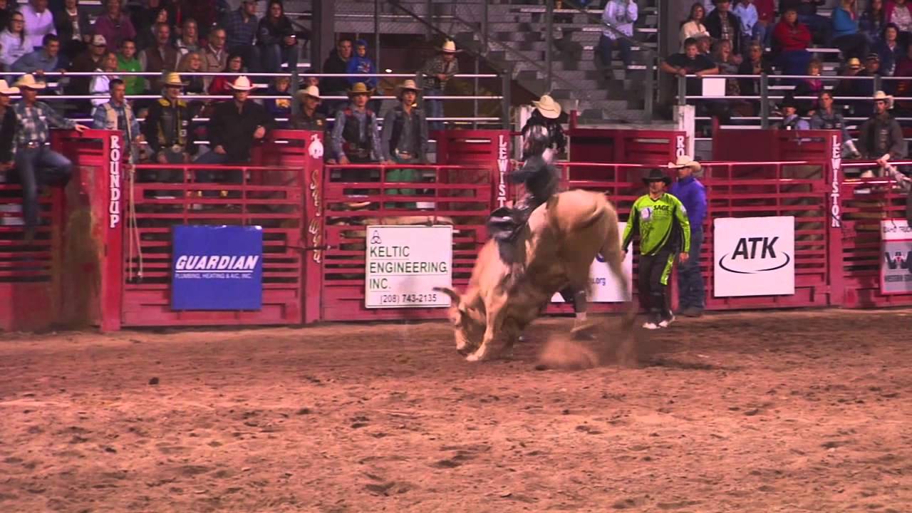 Thursday Night Bulls @ the Lewiston Roundup Rodeo 2014 - YouTube