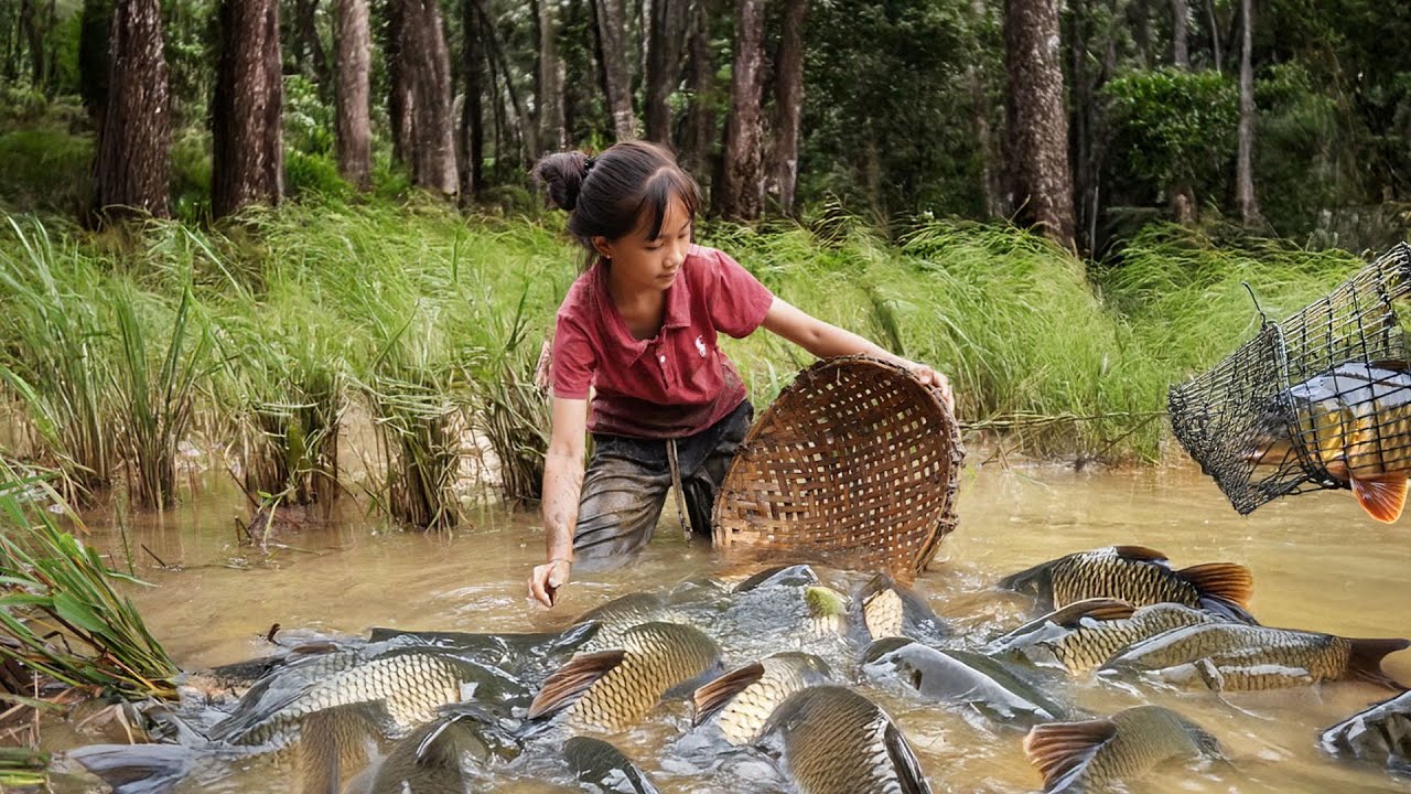 Little Girl Catches Giant Fish | She Uses a Unique Hand-Fishing Method ...