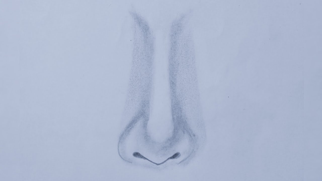How to draw a nose for beginners | Step by step pencil sketch drawing ...