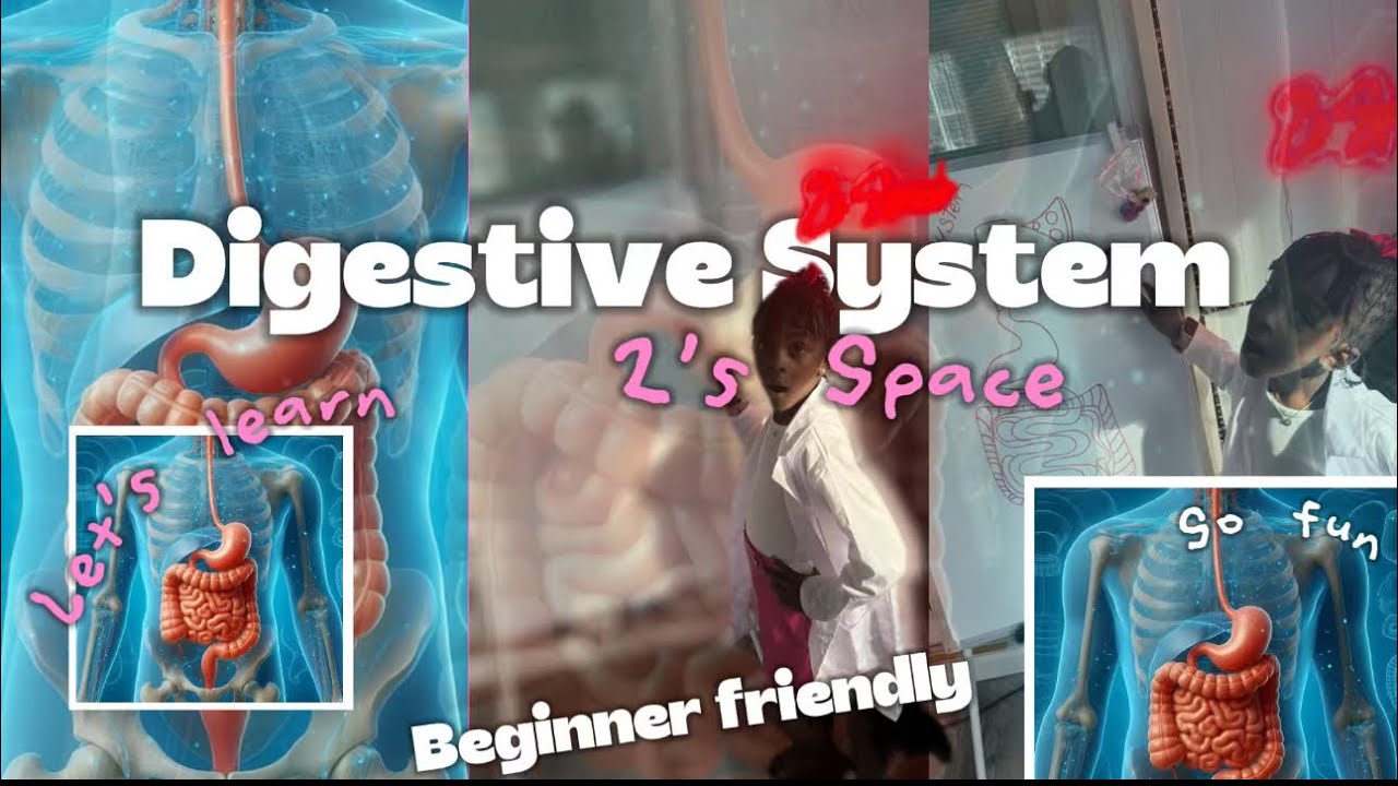 Where does my food go 😱⁉️| All about the Digestive System - YouTube