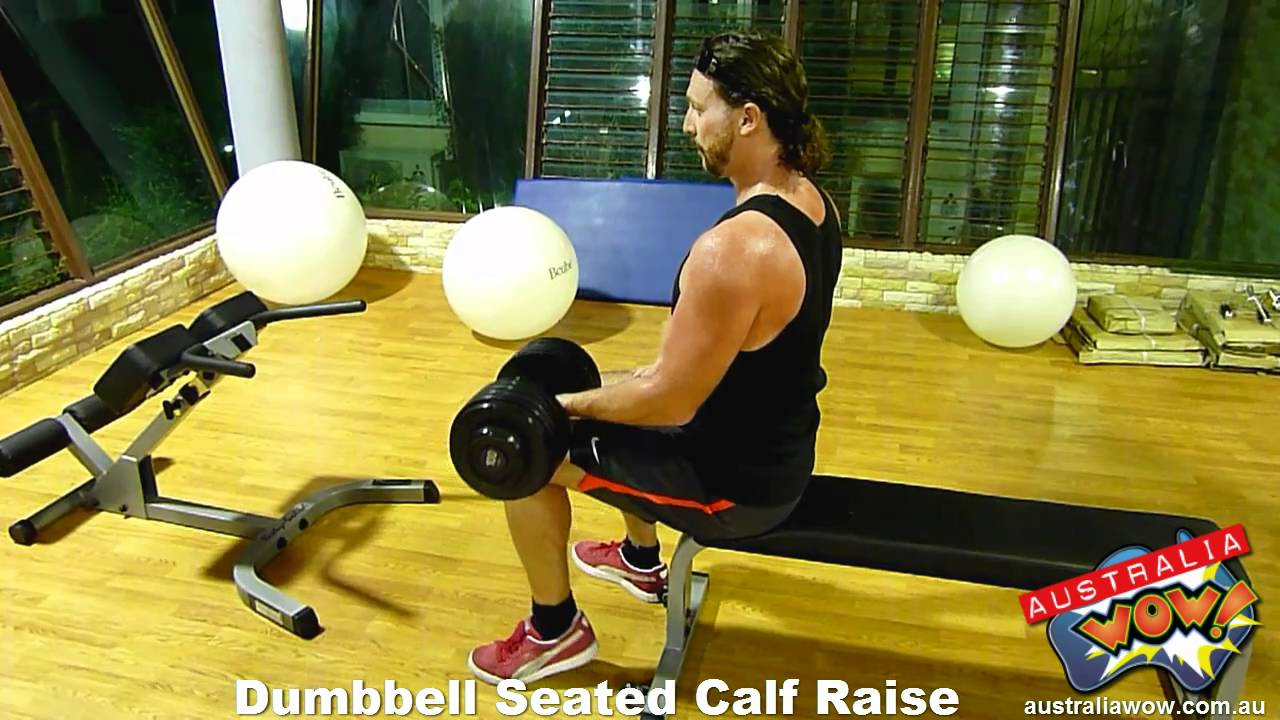 Dumbbell Seated Calf Raise - YouTube