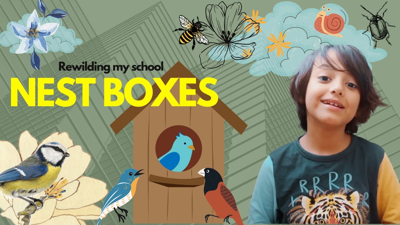 Rewilding: How to make a nest box for National Nest Box Week - YouTube