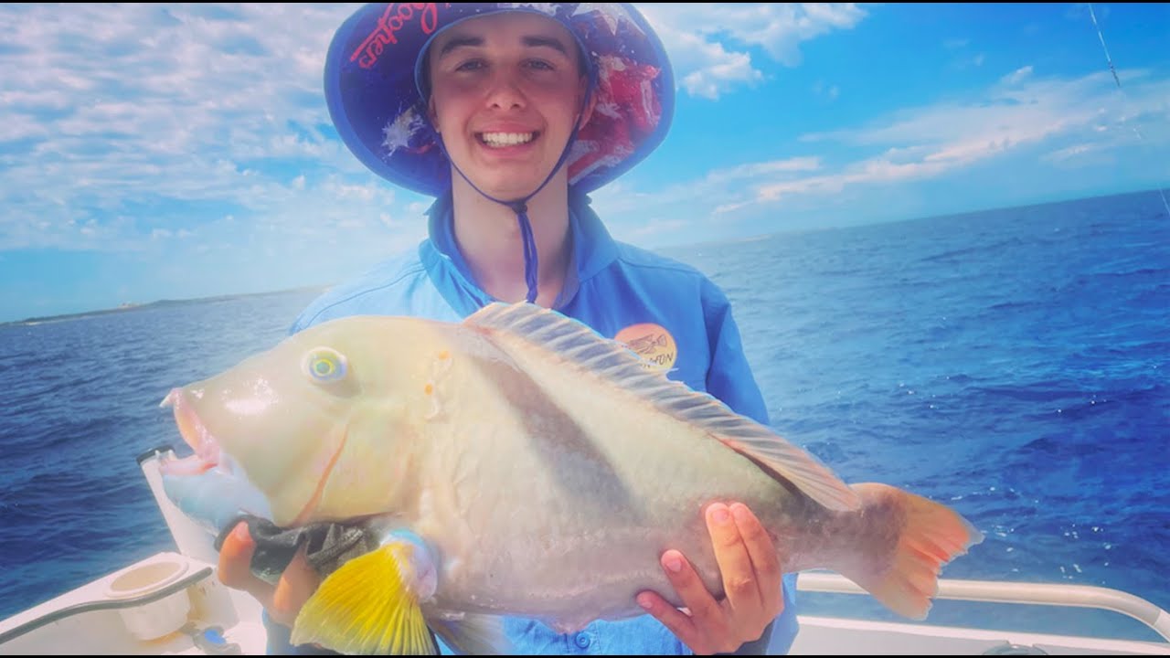 HUGE BALDCHIN GROPER! off Rottnest Island WA - Fishing for DHUFISH ...