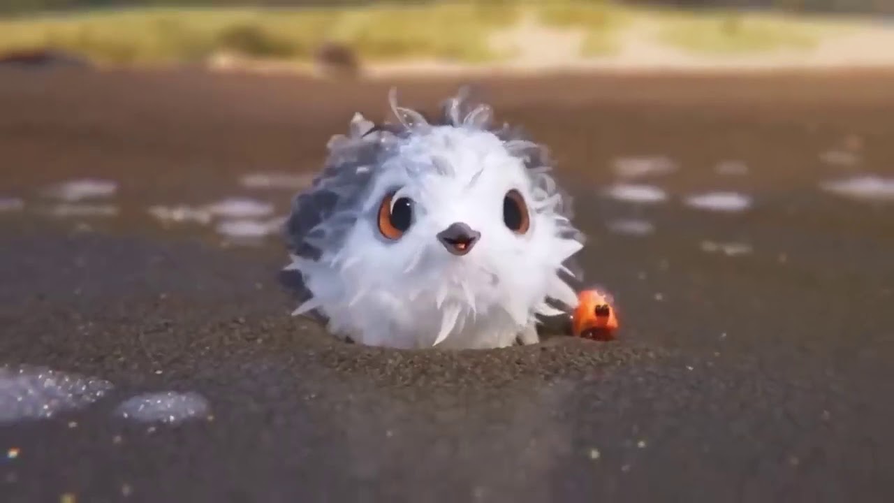 "Piper" || (Disney Pixar) [Oscar winning] Short Movie - YouTube