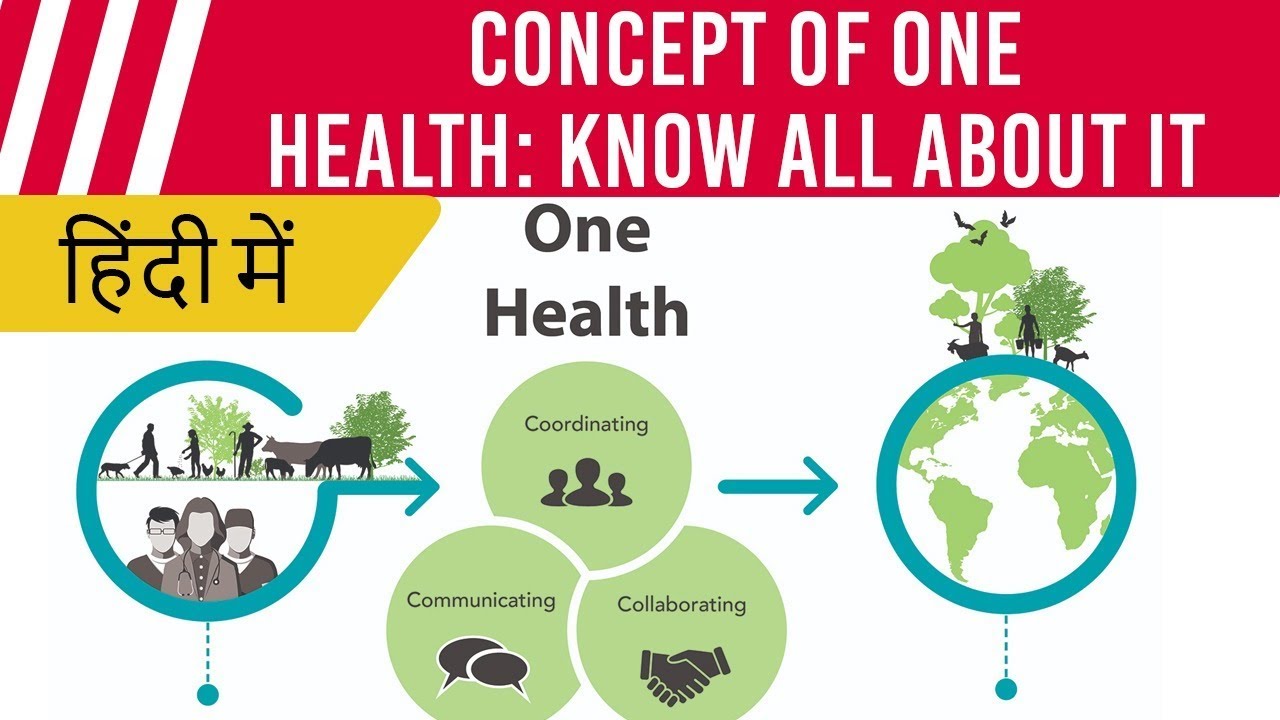 Concept of One Health explained, Spread of disease from Animal to Human ...