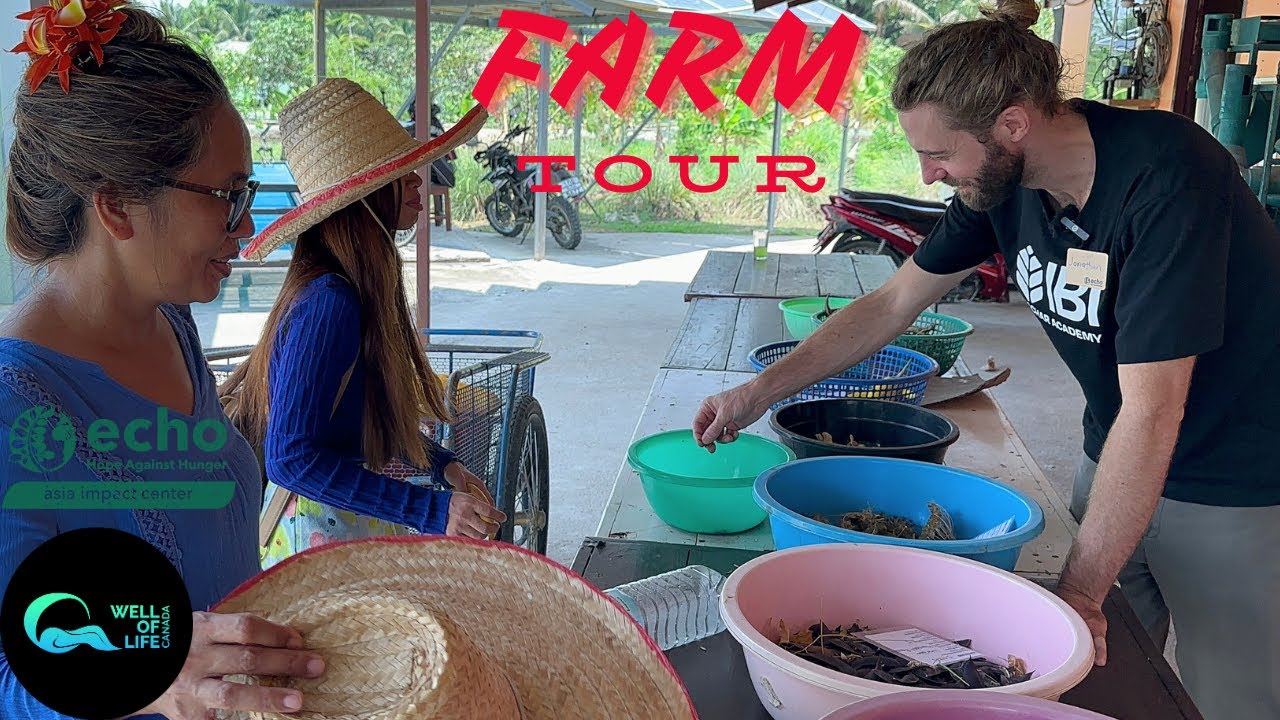 Exploring Echo Farm in Chiang Mai: Well of Life Canada Tours Seed Bank ...