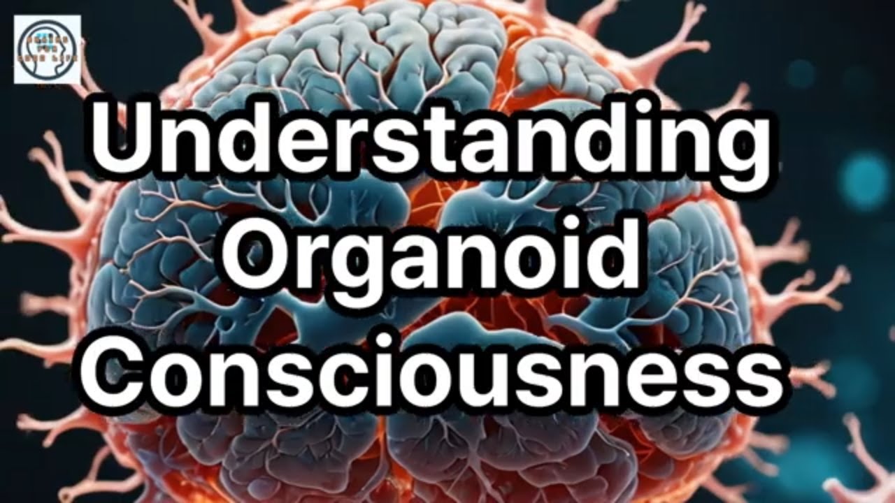 Understanding Organoid Consciousness: The Next Frontier in Neuroscience ...