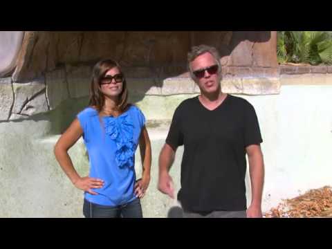 LAS VEGAS HOUSE FLIPPING WITH SCOTT AND AMIE YANCEY - YouTube