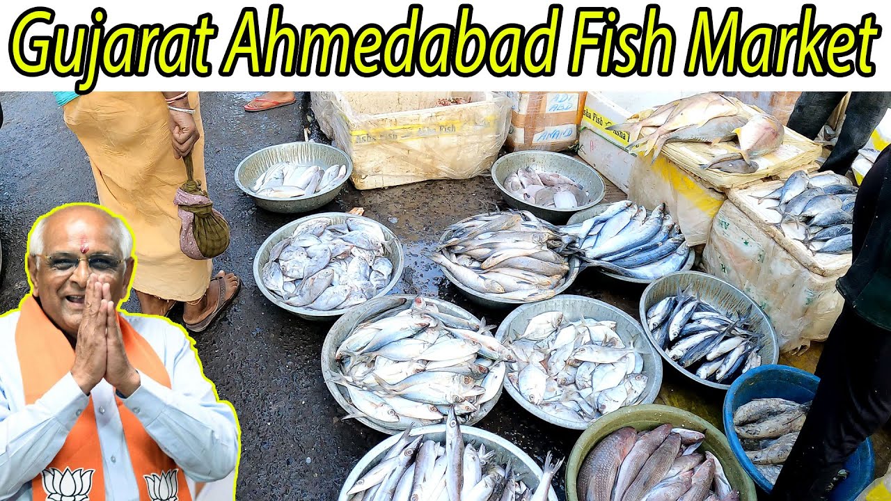 Gujarat Ahmedabad Famous Fish Market #fishmarket #gujratifood - YouTube