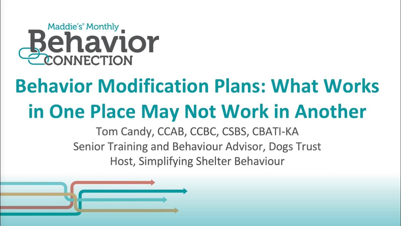 Behavior Modification Plans: What works in one place may not work in another - MMBC - YouTube
