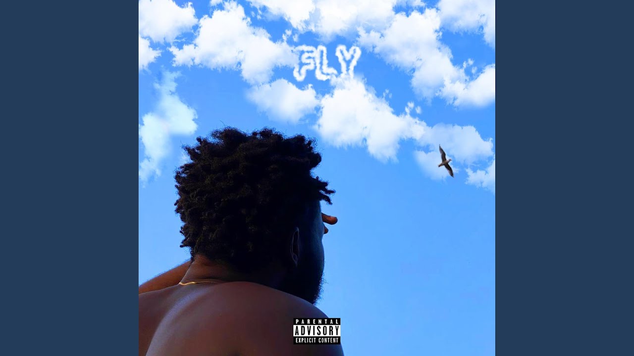 FLY - YouTube