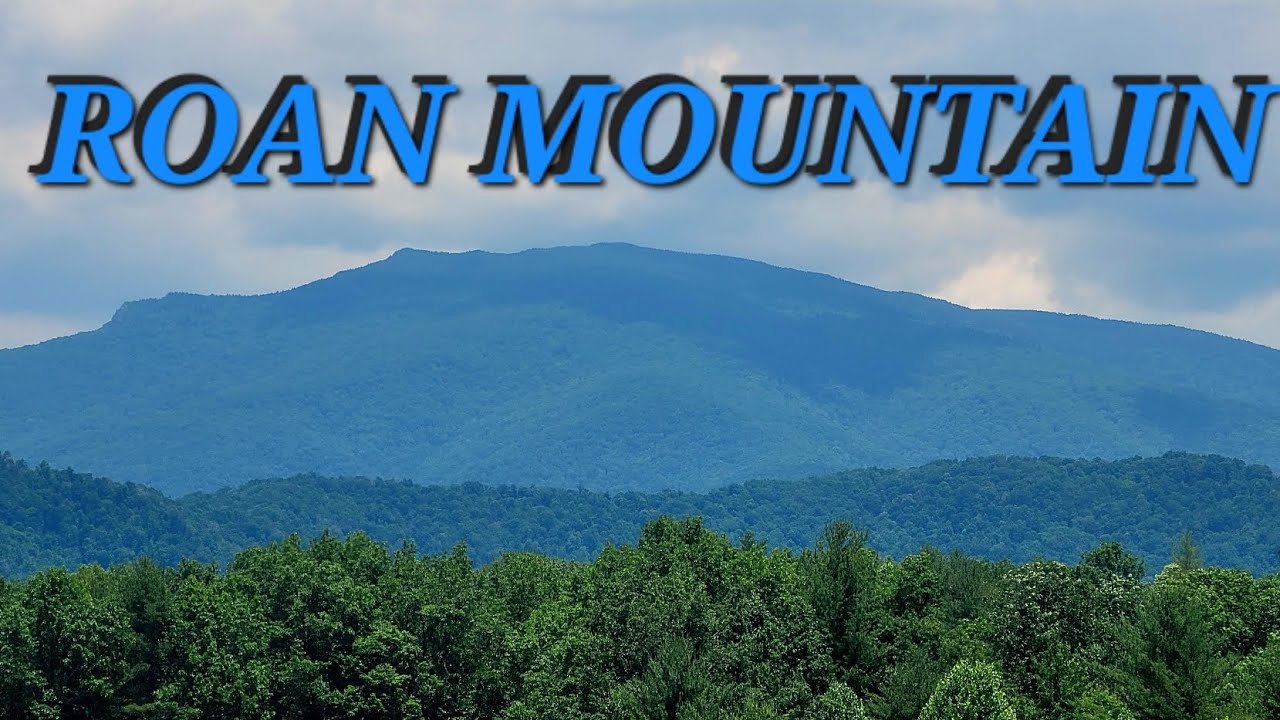 Roan Mountain- A Walk On The Roan... - YouTube
