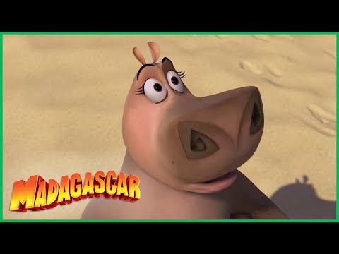 DreamWorks Madagascar em Português | O Resgate Chega | Desenhos Animados