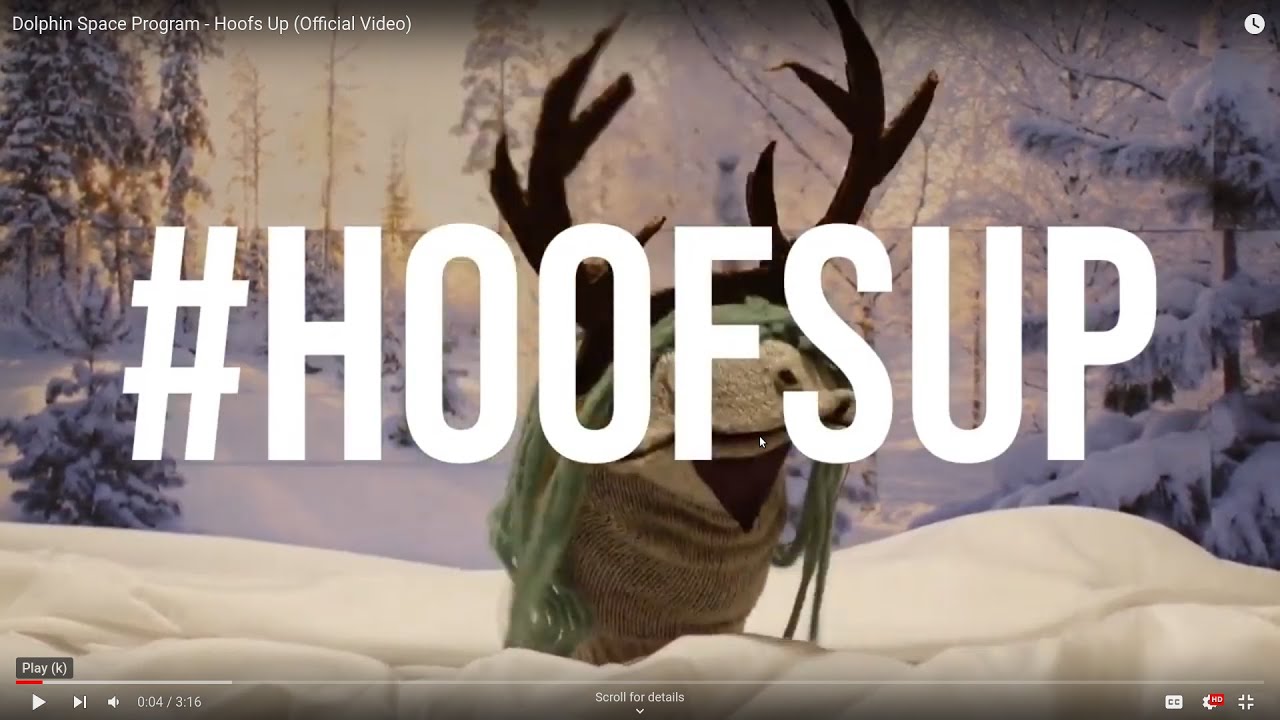 Dolphin Space Program - Hoofs Up (Official Video) - YouTube