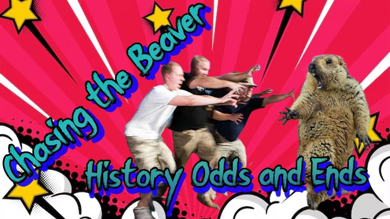 Chasing the Beaver - YouTube