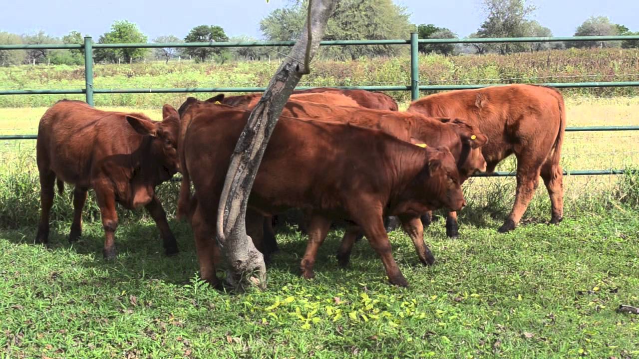 CRIADERO LA ESPERANZA