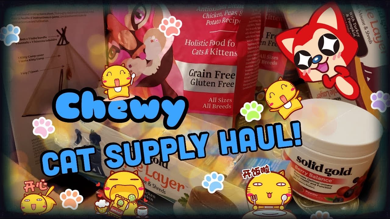 Chewy Cat Supply Haul 1 (Mostly Food) - YouTube