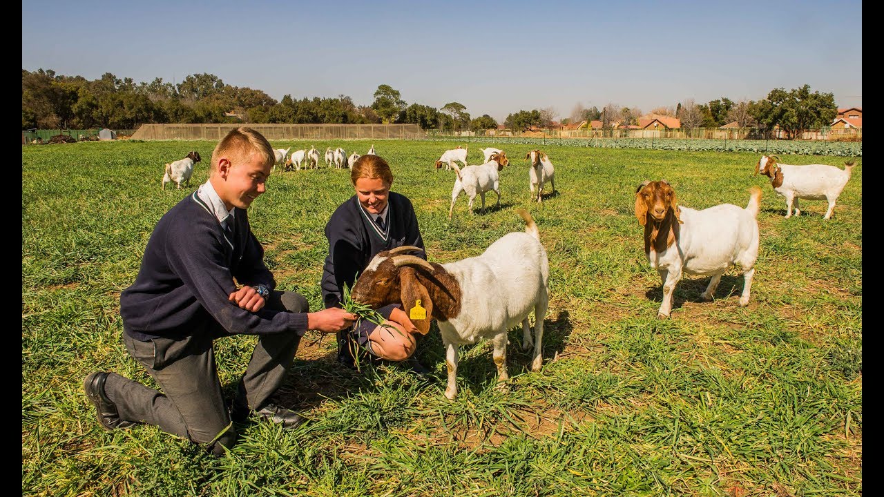 Hoërskool Erasmus word plaas - YouTube