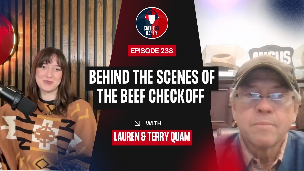 238: Behind the Scenes of the Beef Checkoff with Terry Quam - YouTube