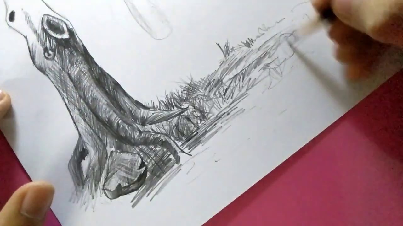 Tree With Cross Hatching With Graphite Pencils! EASY!! - YouTube