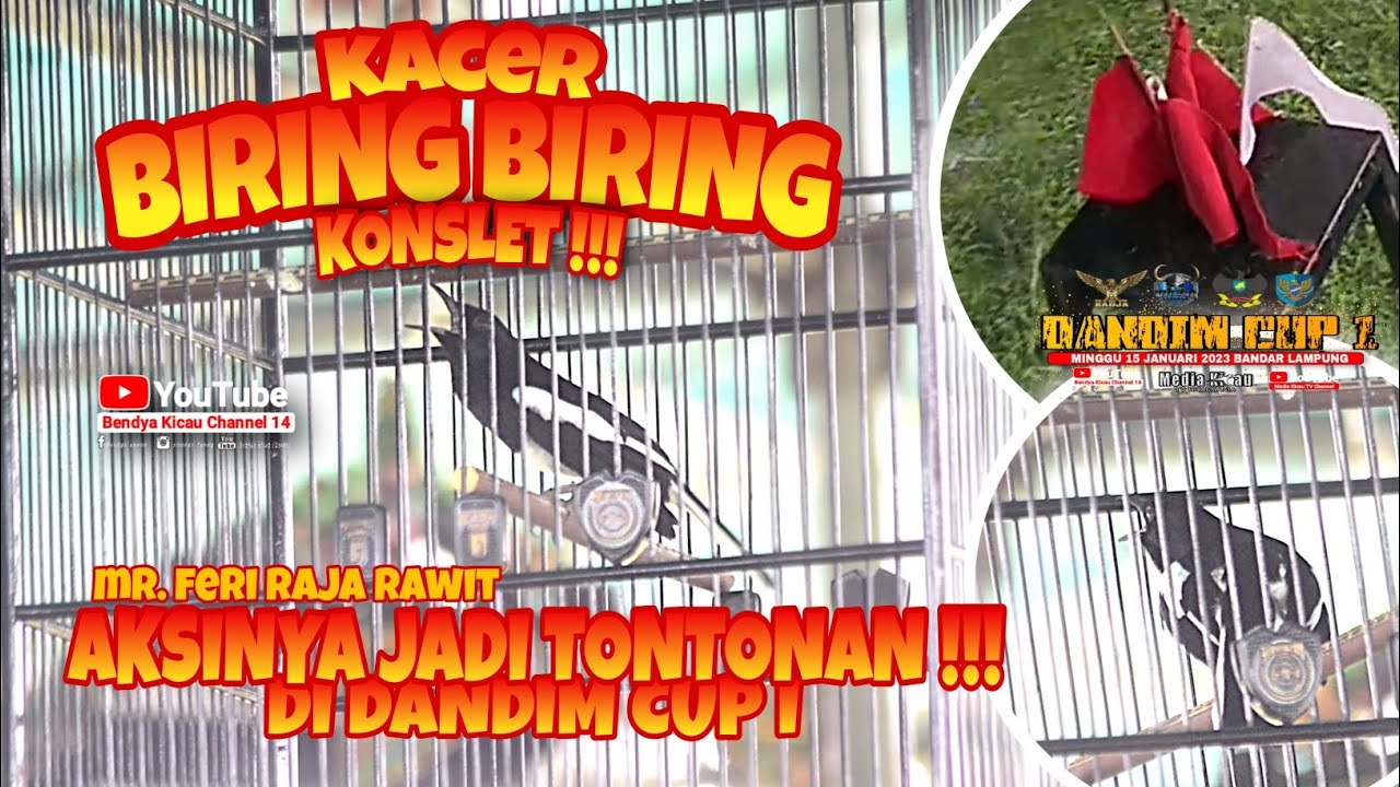 DANDIM CUP 1 ‼️ KACER BIRING BIRING KONSLET || AKSINYA JADI TONTONAN 😱 ...