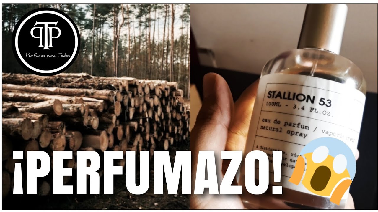 ¡Perfumazo! | CLON DE SANTAL 33 | Stallion 53 - YouTube