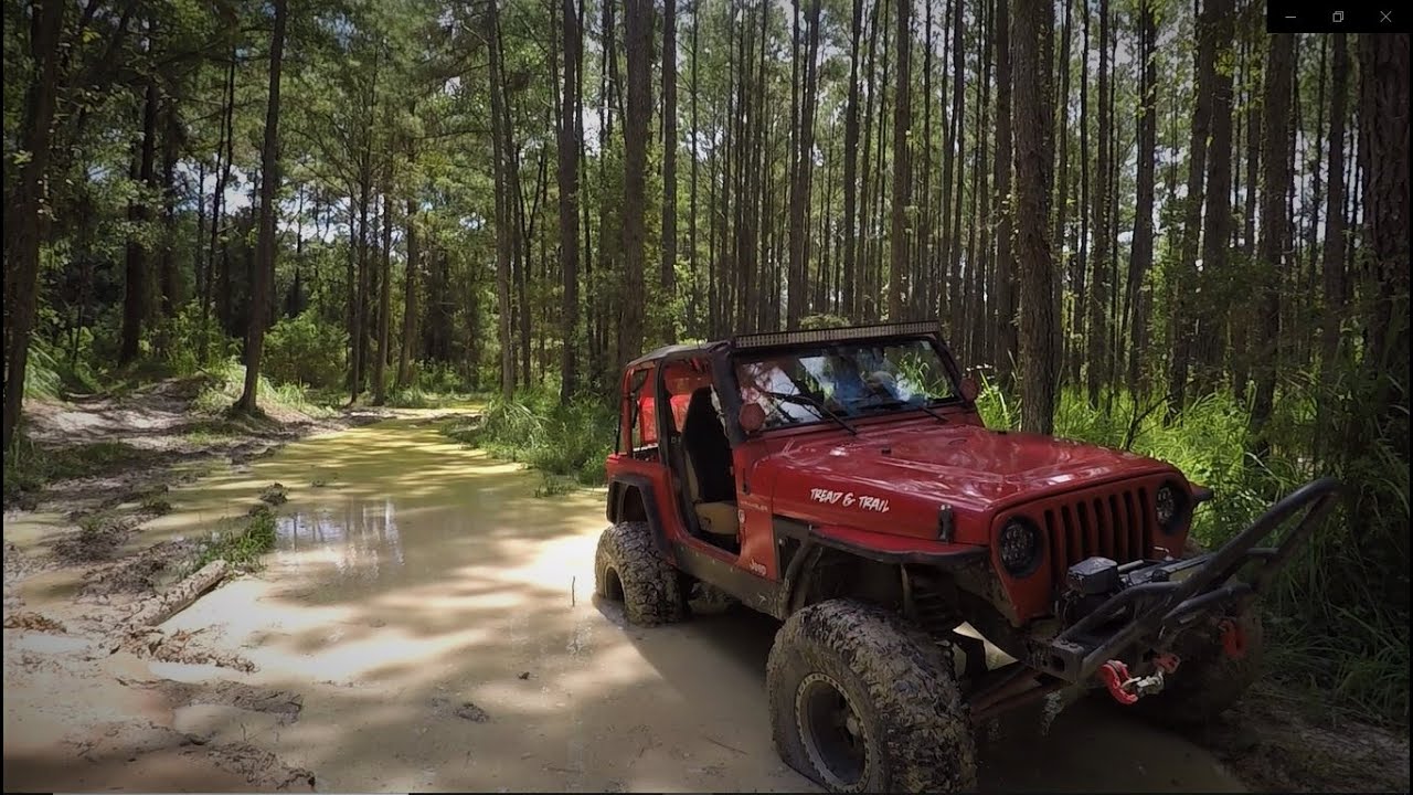 THE TREES WIN! In an offroad showdown between the Jeeps and the Trees ...