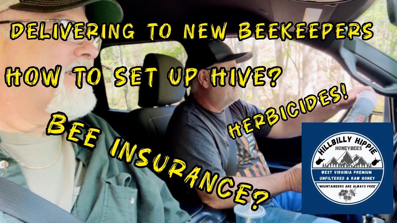 Setting up a hive | New Beekeeper Questions | Bee Insurance? - YouTube
