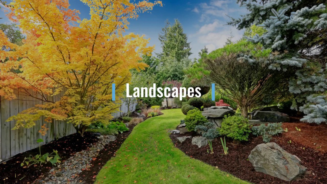 Tacoma Landscapings - YouTube
