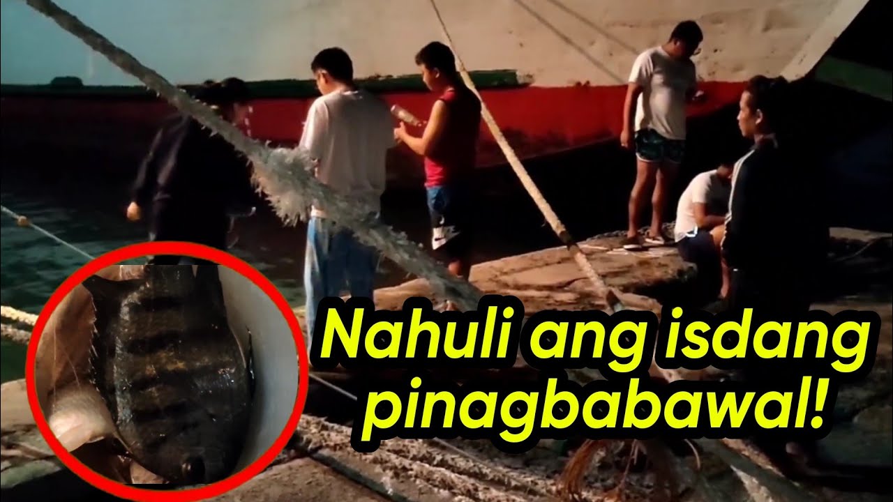 Ang inakala nilang isdang tilapya ay hindi pala | Bredco Port Bacolod City - YouTube