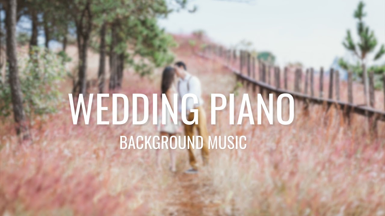 Wedding Piano Background Music / Romantic and Inspirational Music ...