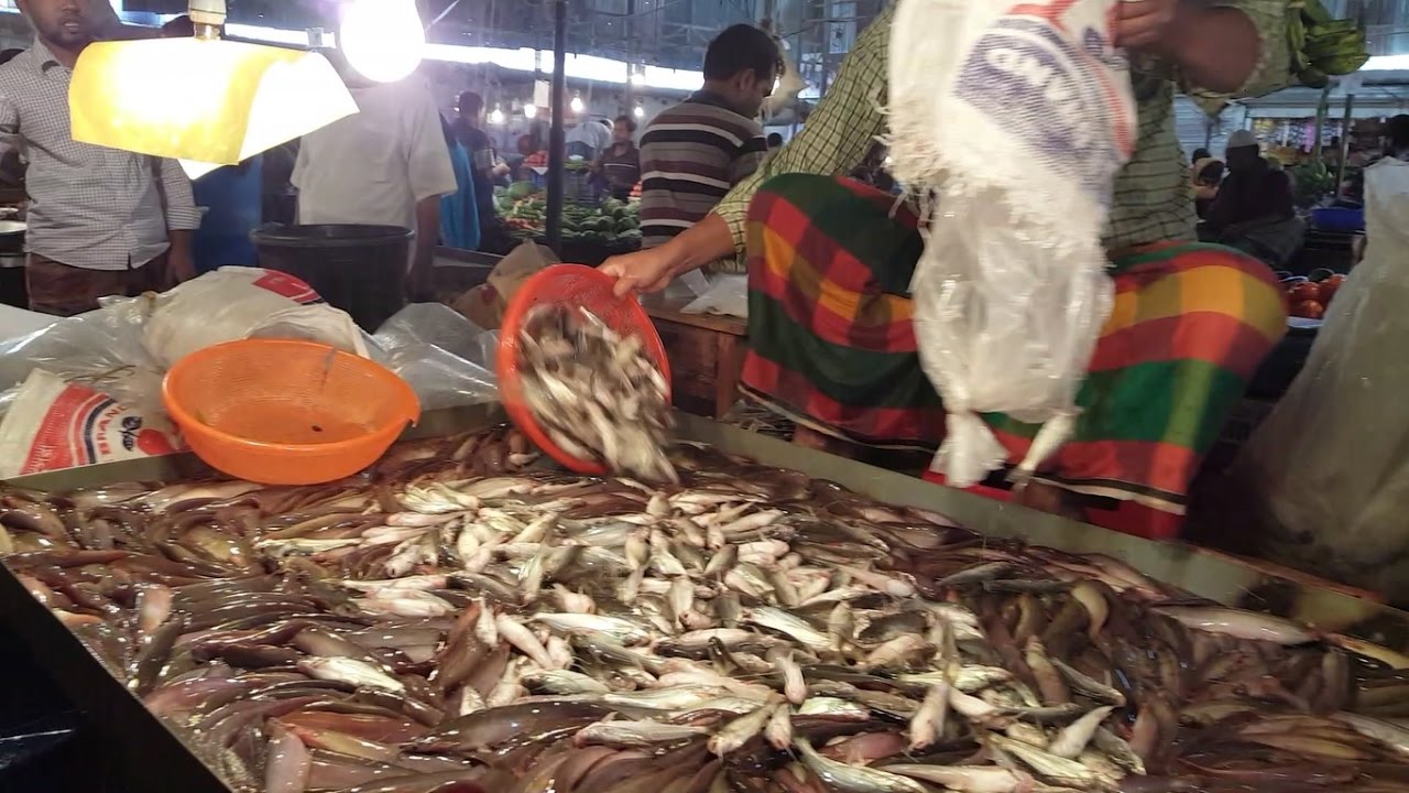 Most Amazing Alive Fish Market Around Me Bangladesh - YouTube