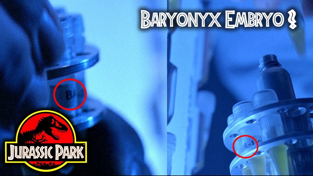 Baryonyx Embryo in Jurassic Park? | Jurassic Park Lore - YouTube