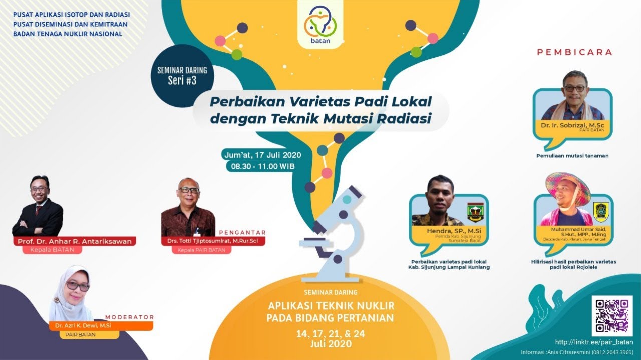 Perbaikan Varietas Padi Lokal Dengan Teknik Mutasi Radiasi - YouTube
