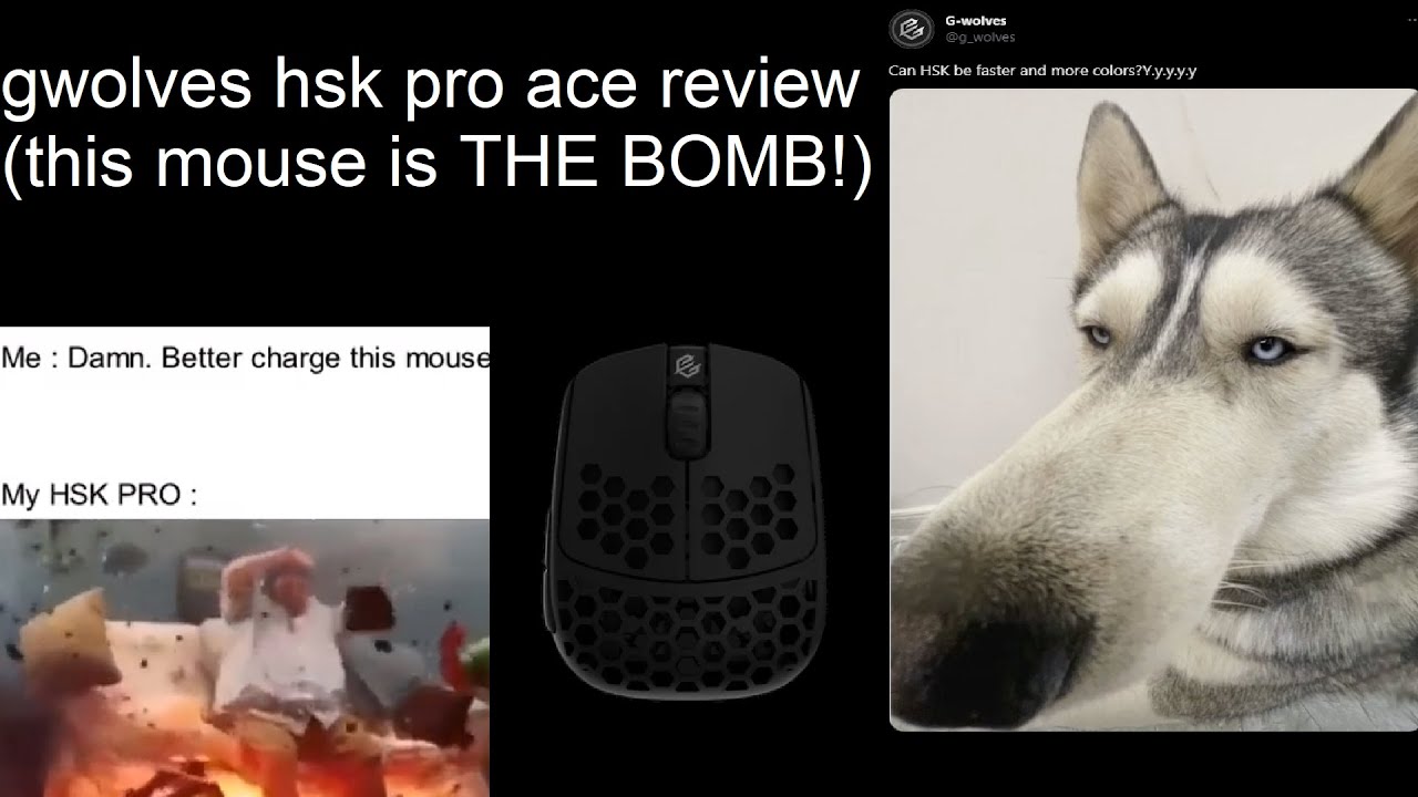 gwolves hsk pro ace review (this mouse is the bomb!) - YouTube