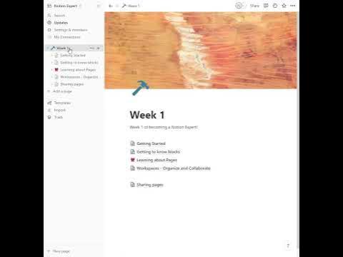 Notion Day 6 - Sharing pages and collaborating - YouTube