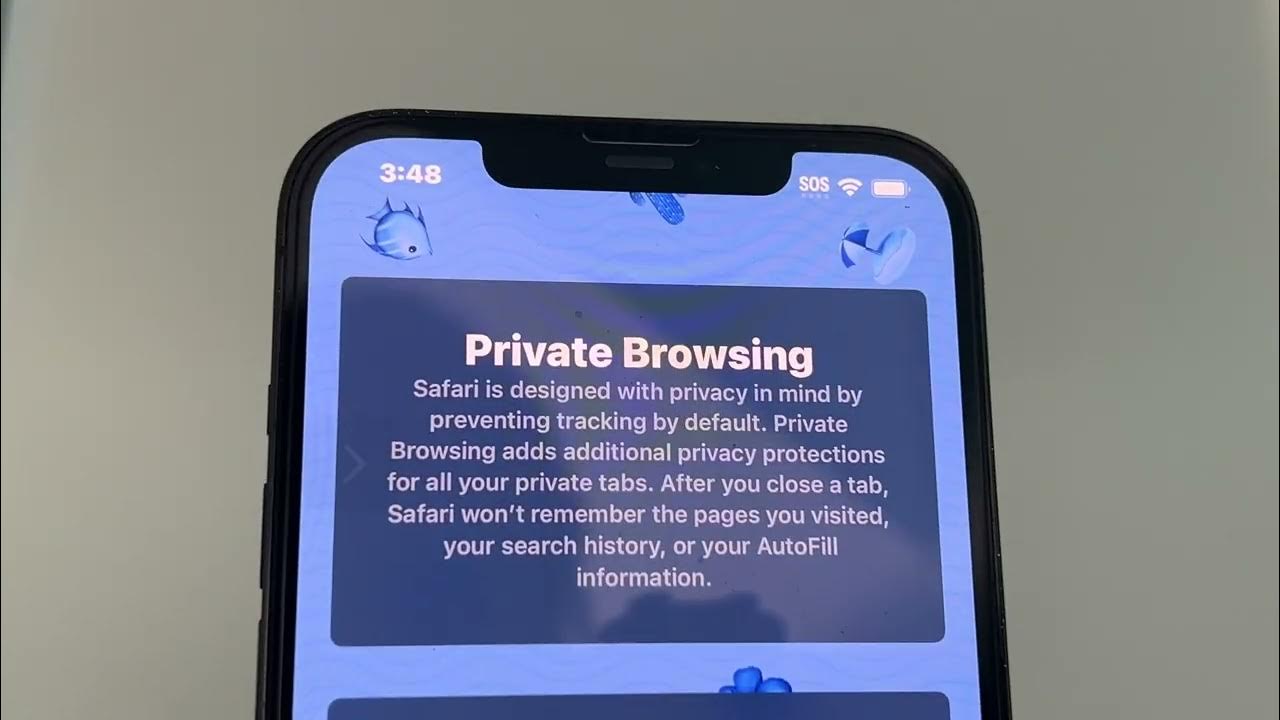 How to open private browsing mode in safari on iPhone in iOS 17 - YouTube