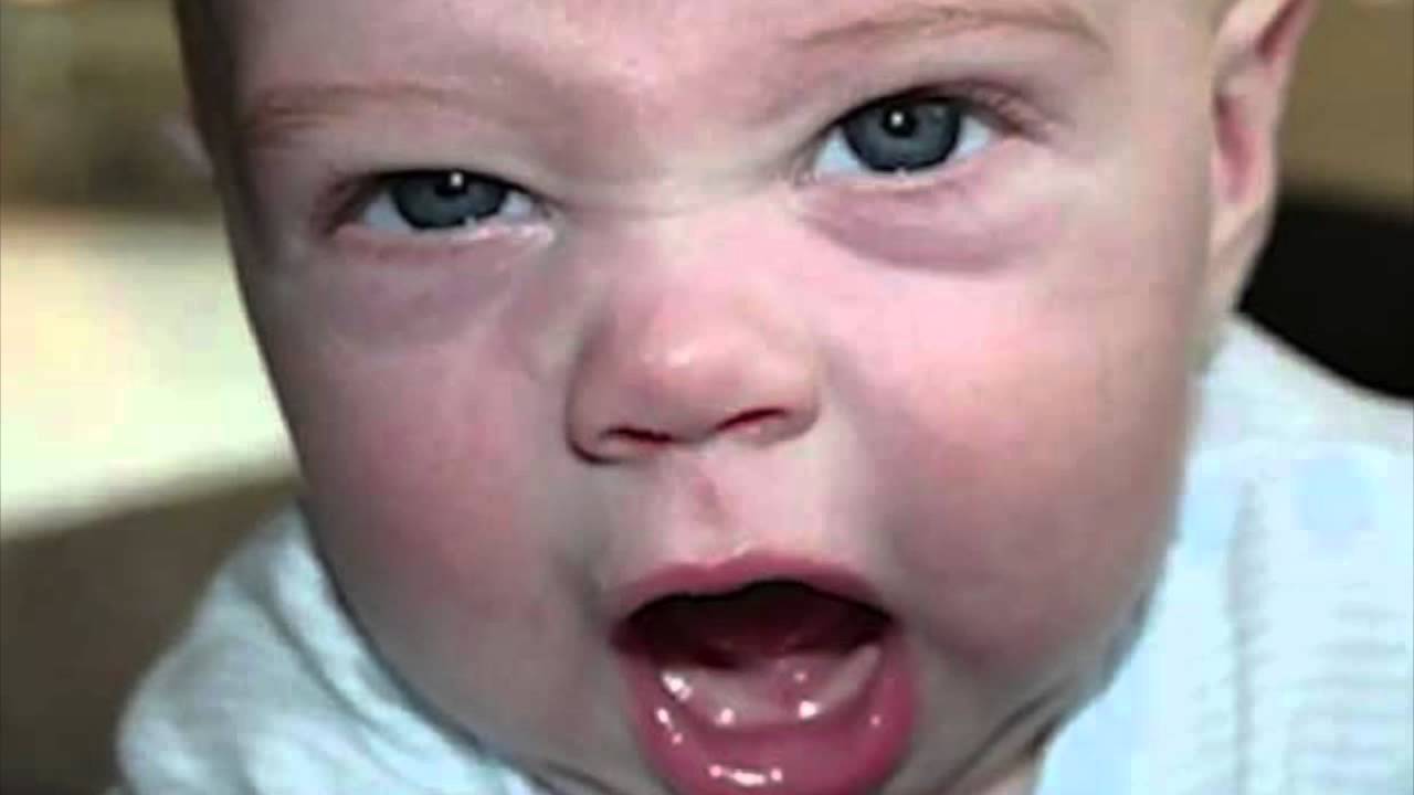Los Bebés Más Enfadados del Mundo - YouTube