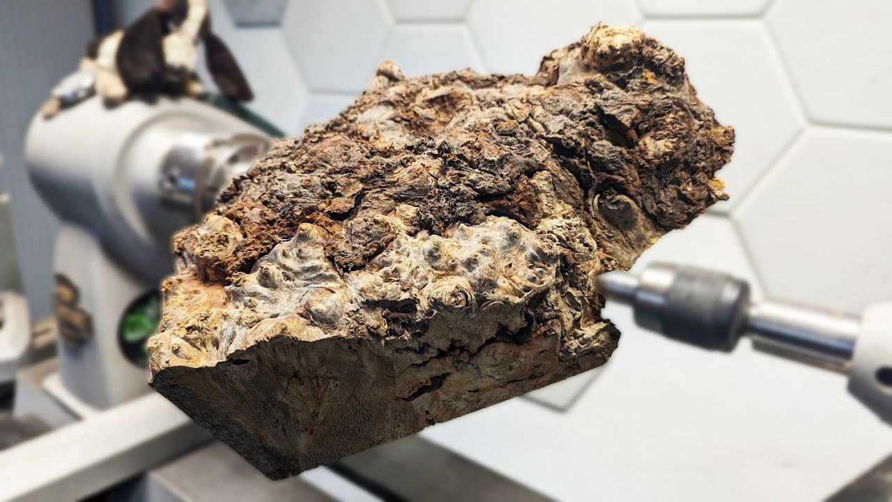 Cracking the Chestnut!! - Woodturning ASMR the Crustaceous Chestnut ...