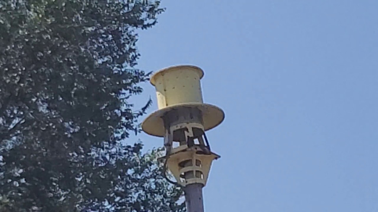 Sentry 3V8 Siren Glenpool Park [Tropical Paradise] - YouTube