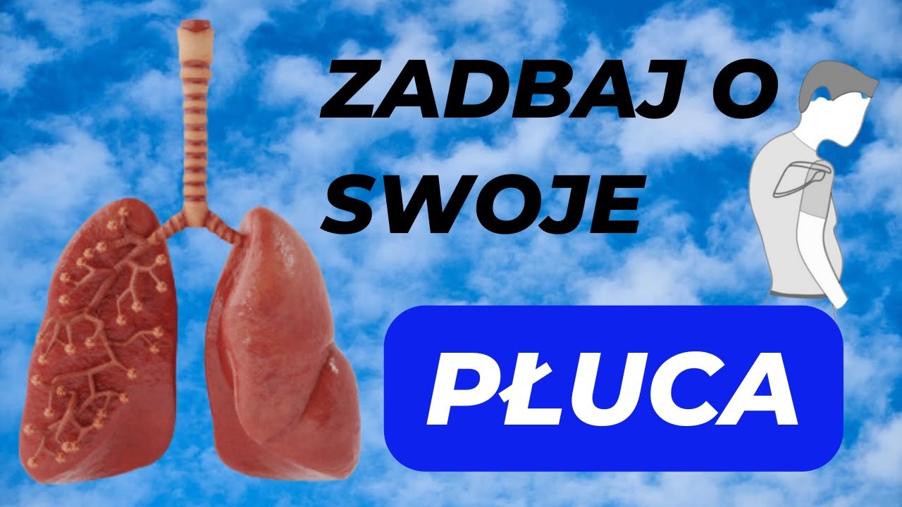 Płuca - budowa, funkcje, zalecenia i ich związek smutkiem🤗 - YouTube