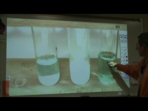 Double Displacement Demonstration and Explanation NiSO4 and BaCl2 - YouTube
