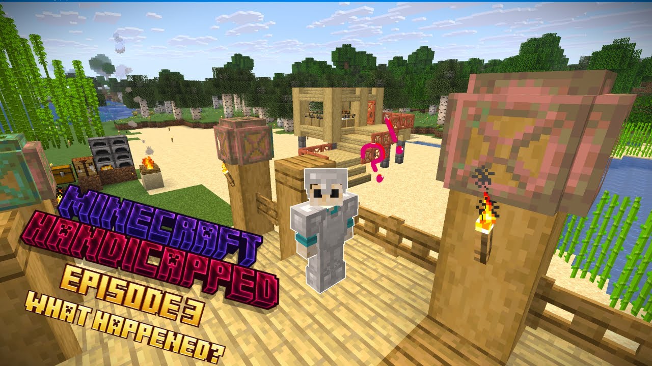 MINECRAFT HANDICAPPED | What Happened? - YouTube