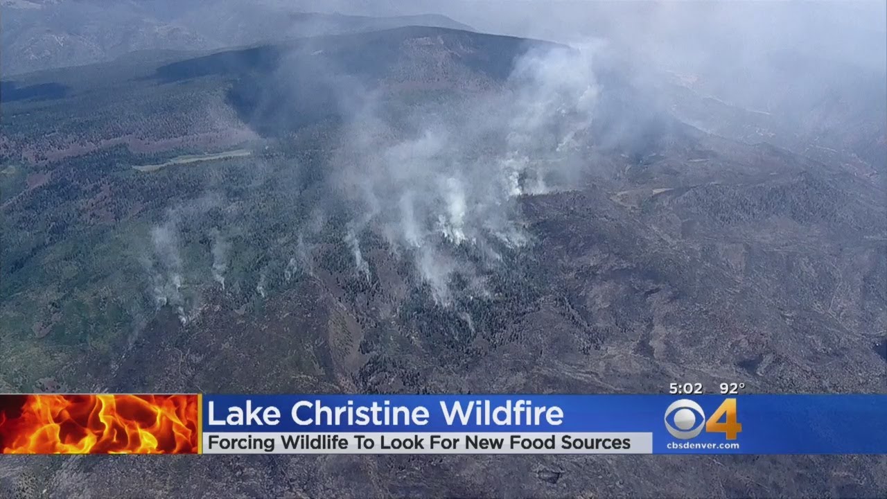 Lake Christine Fire Is 43% Contained - YouTube