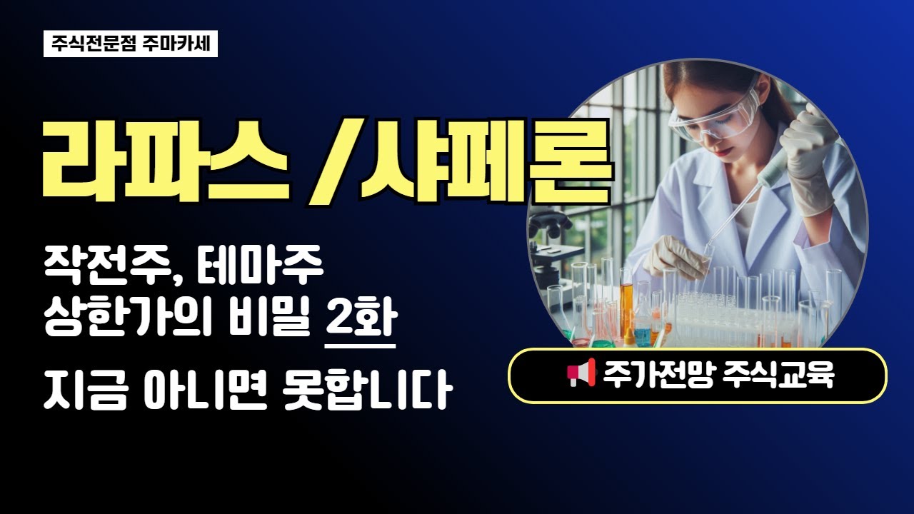 라파스 주가전망 작전주 라파스와 샤페론 Dxvx 상한가의 비밀 2화 주식투자자 지금 아니면 못볼 영상 작전주 패턴 주식교육 Youtube